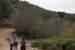 Banias (Caesarea Philippi) Photos